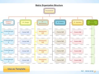 Matrix Structure Template