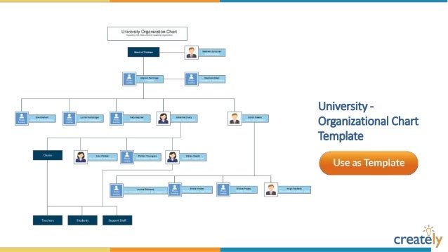 Organizational Chart Templates by Creately
