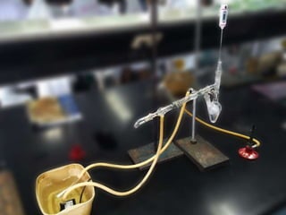 Experiment 1: Distillation of Alcoholic Beverages | PPTX
