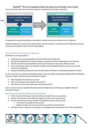 Organization, Team, Digital & Collaboration Assessment User Guide v2-0.pdf
