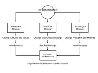 Organizational Development & Structure | PPTX