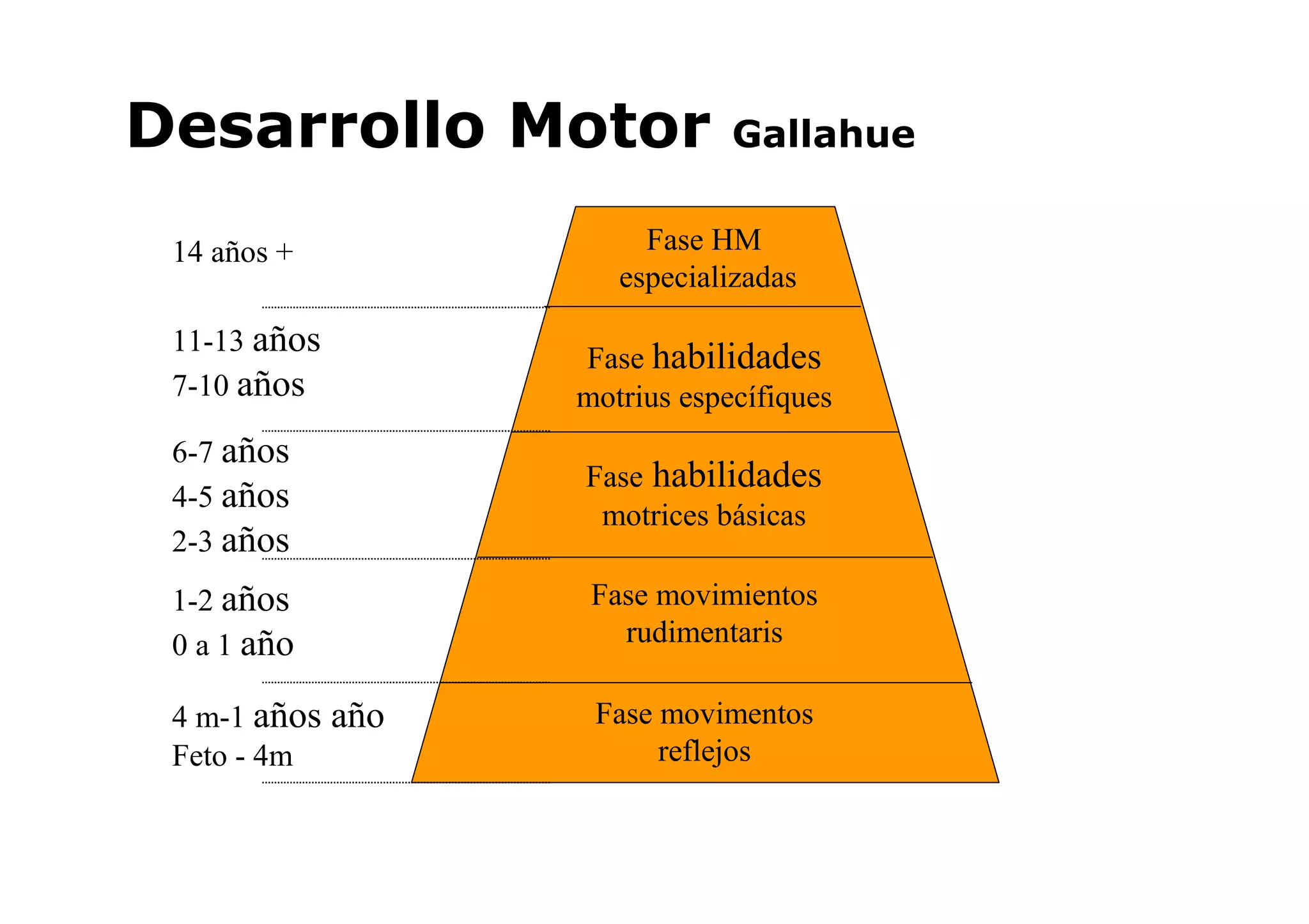Orgenes Del Desarrollo Motor Y De Las Habilidades Motrices Pdf