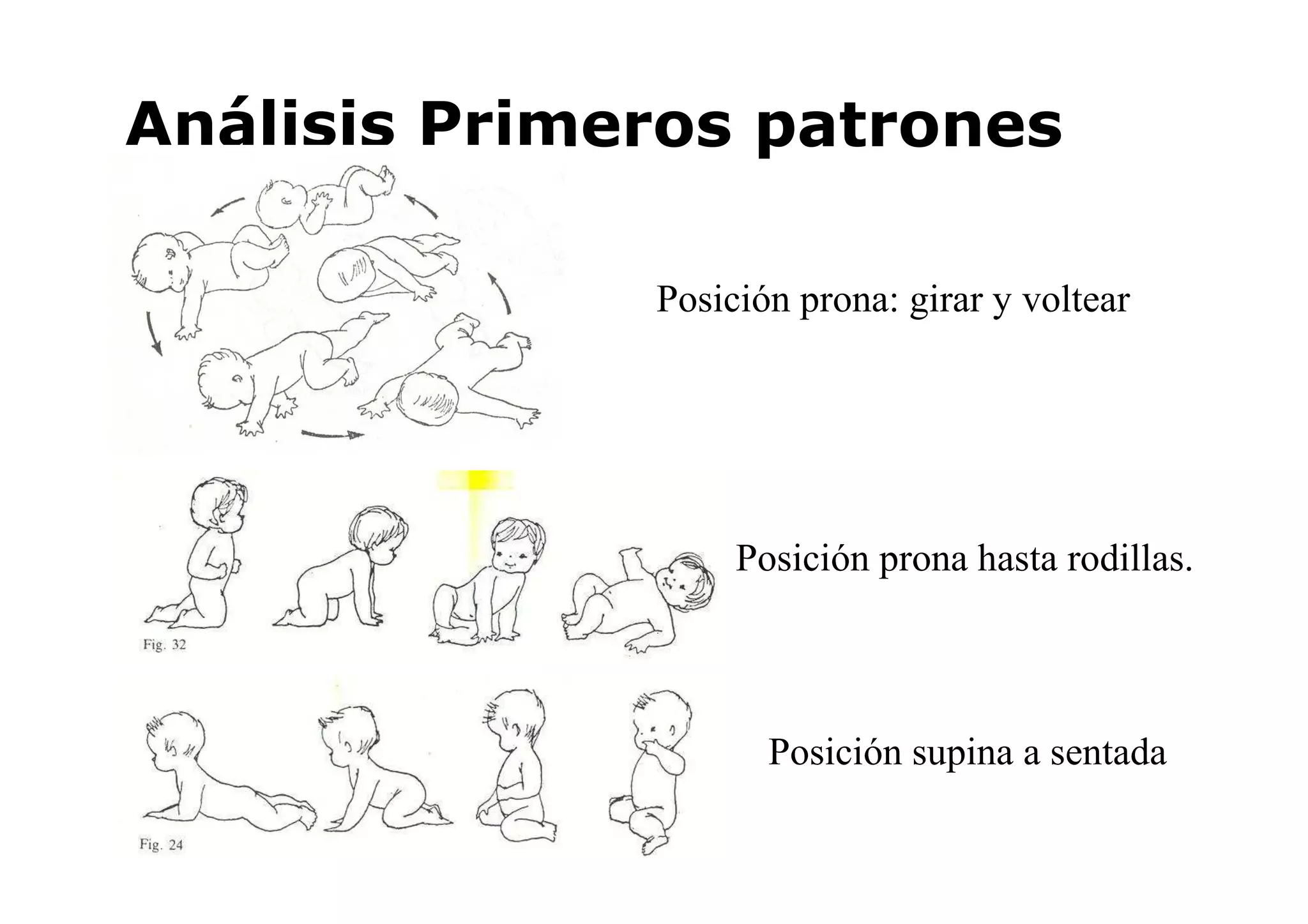 Orgenes del desarrollo motor y de las habilidades motrices | PDF