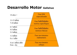 Orgenes del desarrollo motor y de las habilidades motrices | PDF