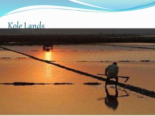 Shifting to Organic Agriculture- Adat Model | PPTX