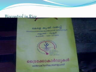 Shifting to Organic Agriculture- Adat Model | PPTX