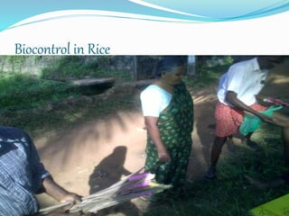 Shifting to Organic Agriculture- Adat Model | PPTX