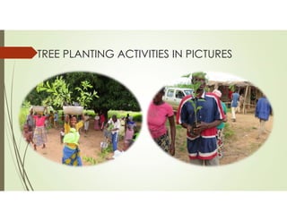 NTFPs value chain development as an entry point to sustainable ...