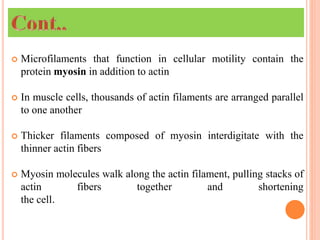 Orginagition and role of cytoskeleton | PPTX