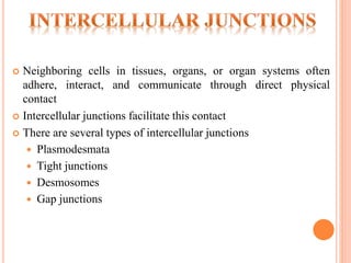 Orginagition and role of cytoskeleton | PPTX