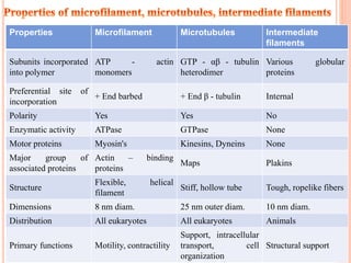 Orginagition and role of cytoskeleton | PPTX