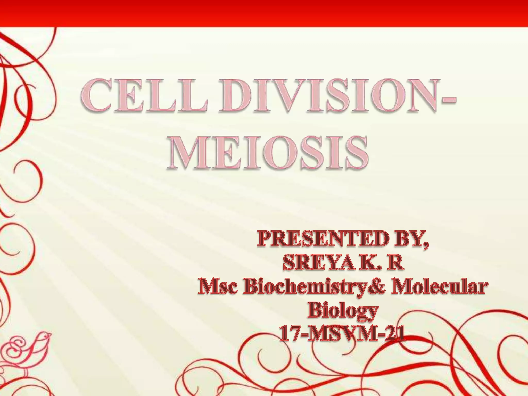 Meiosis Pptx