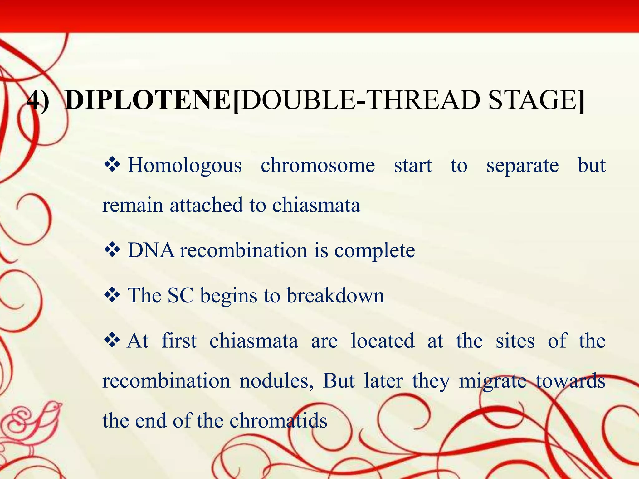 meiosis | PPTX
