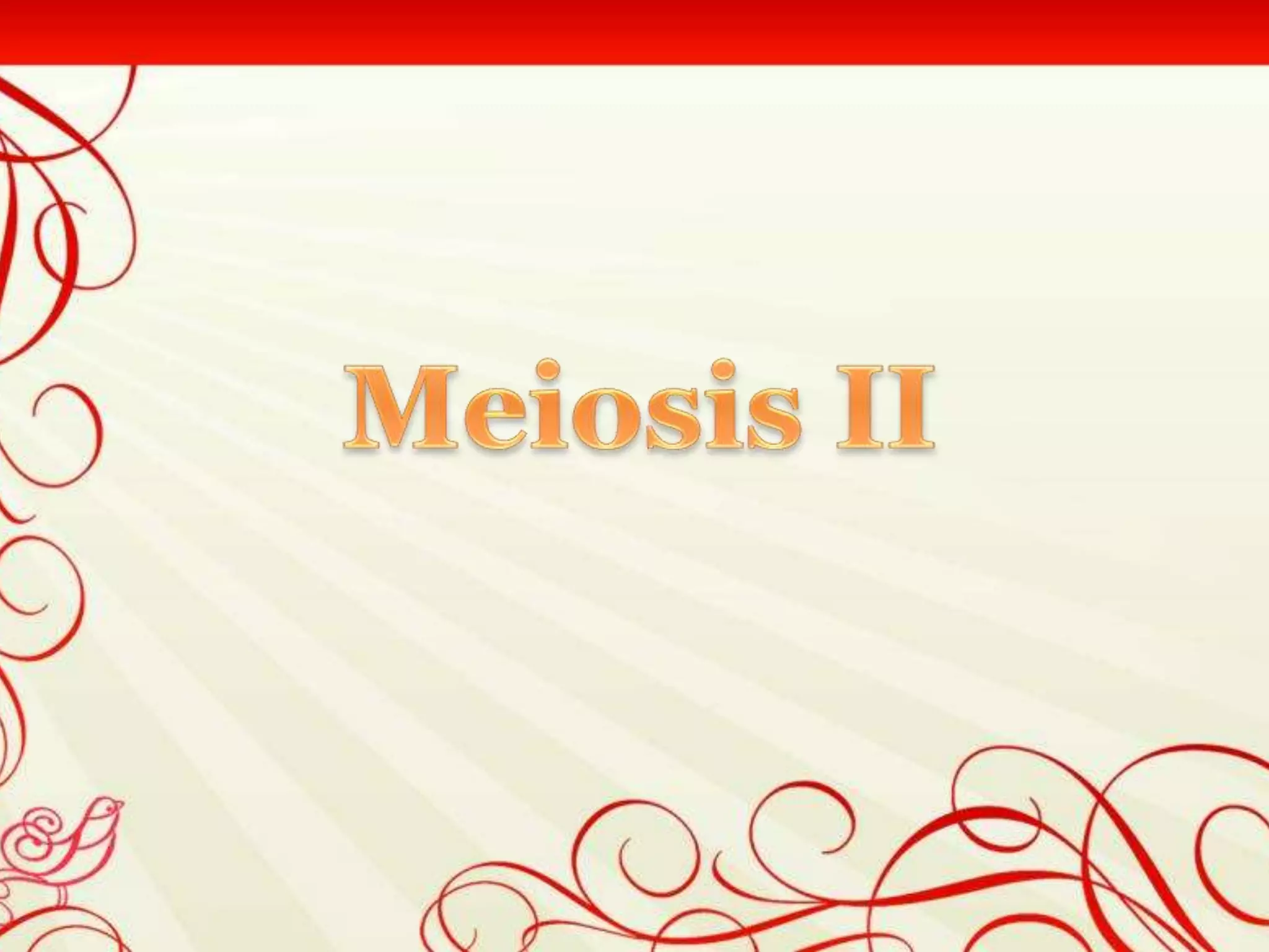 Meiosis Pptx
