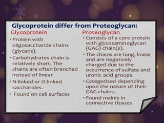 Proteoglycan Vs Glycoprotein
