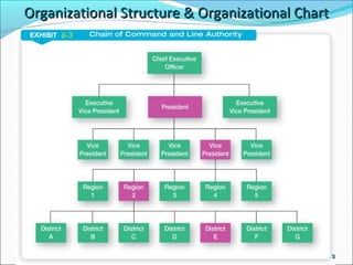Organisational designs and structures, traditional & contemporary ...