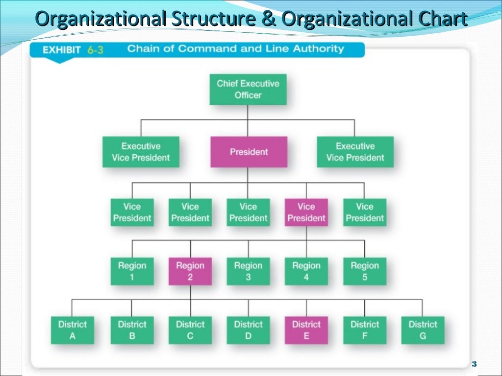 Organisational designs and structures, traditional & contemporary org…