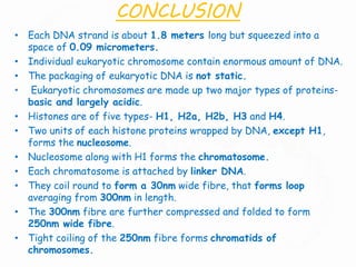 orgnization of eukaryotic genome.pptx | Genetics | Science