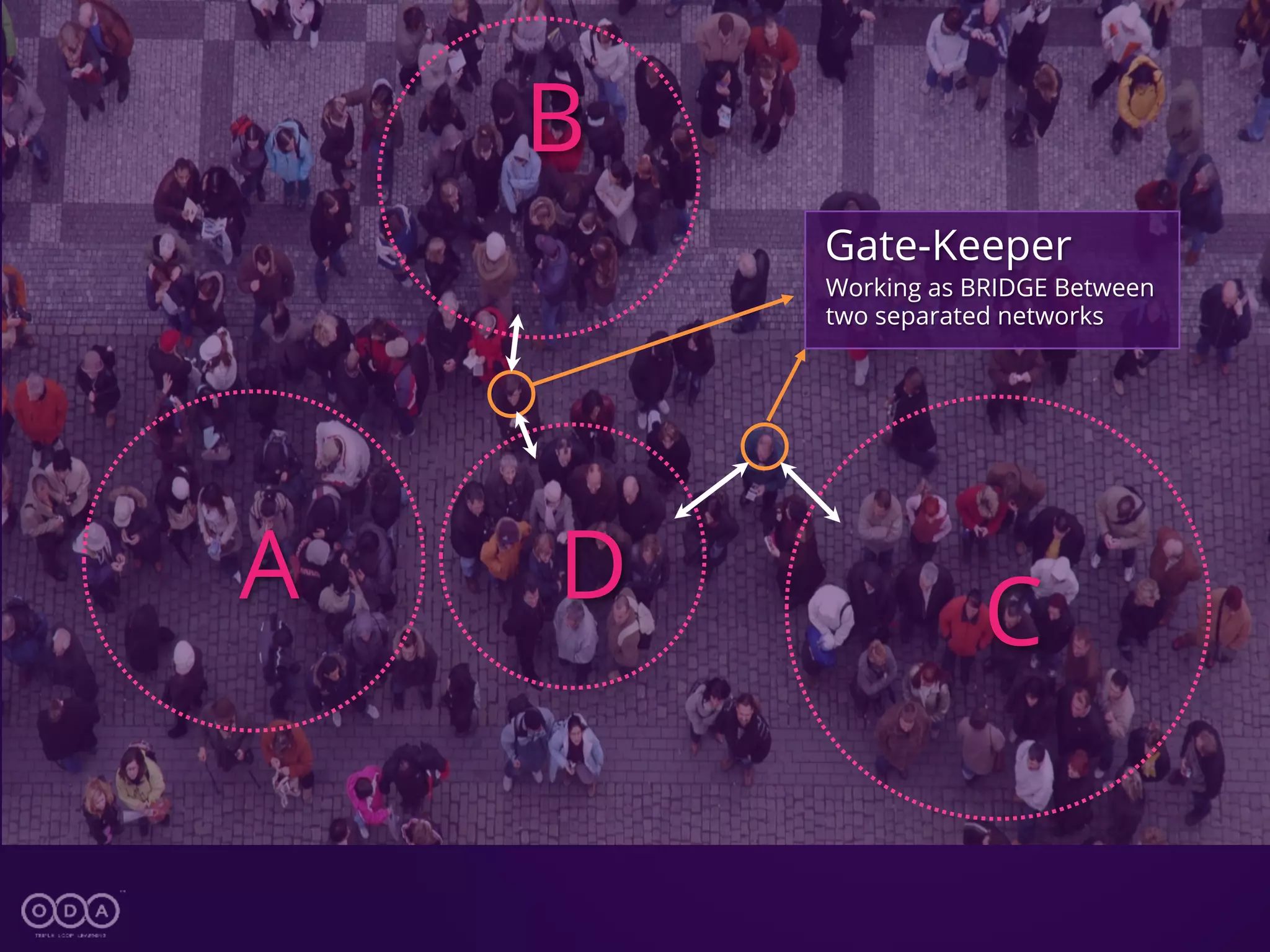 Organization Network Analysis | PDF