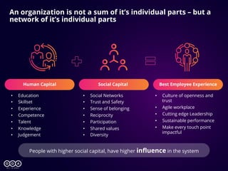 Organization Network Analysis | PDF