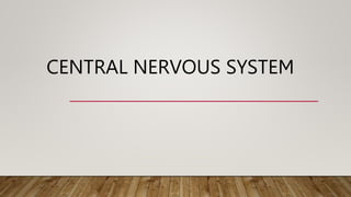 org of cns le1.pptx for mbbs students s . | PPT