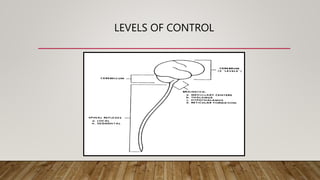 org of cns le1.pptx for mbbs students s . | PPT