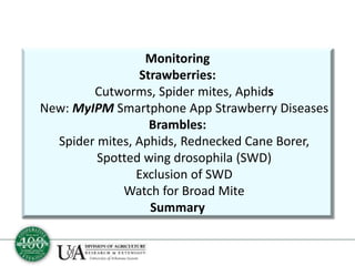 Organic Pest Management for High Tunnel Production of Small Fruits | PPT