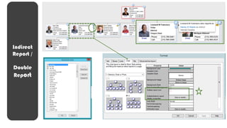 OrgPublisher HOLL Consulting-double report-dotted line-indirect report ...
