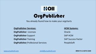 OrgPublisher HOLL Consulting | PPT