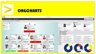 OrgPublisher HOLL Consulting | PPT