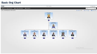 OrgPublisher HOLL Consulting-sap success factor-oracle-peoplesoft ...