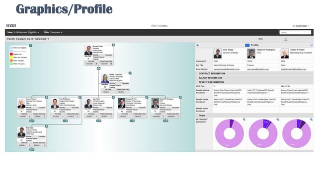 OrgPublisher HOLL Consulting-sap success factor-oracle-peoplesoft ...