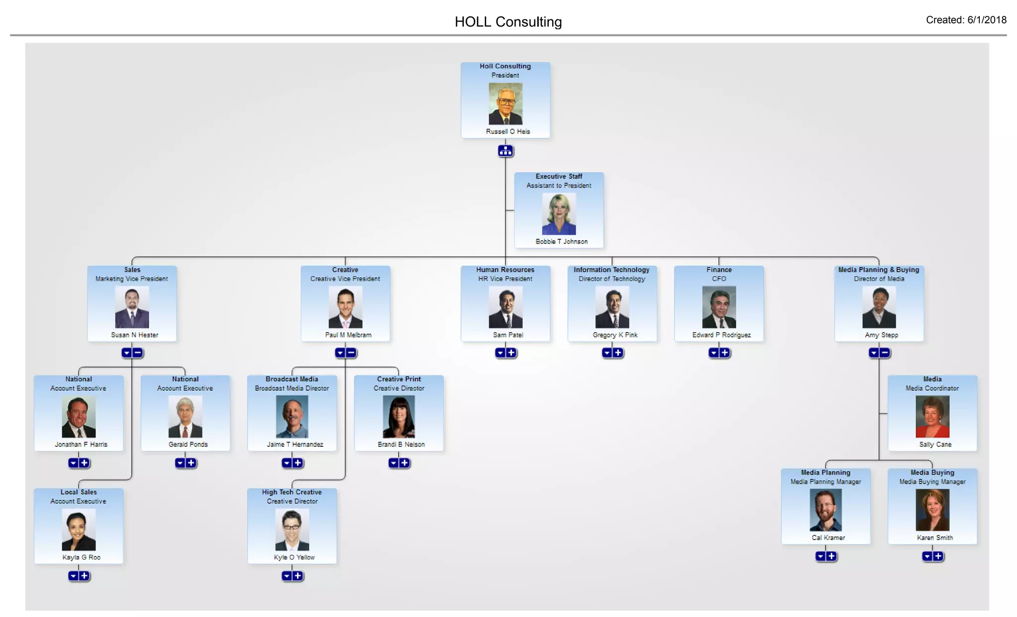 OrgPublisher- HOLL Consulting - send toPDF | PDF