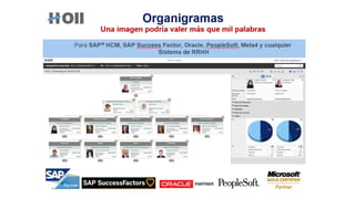 Orgpublisher HOLL Consulting brochure -es-1 | PPT