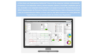 Orgpublisher HOLL Consulting brochure -es-1 | PPT