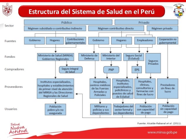 OrganizaciÓn De La Salud Publica En El Peru
