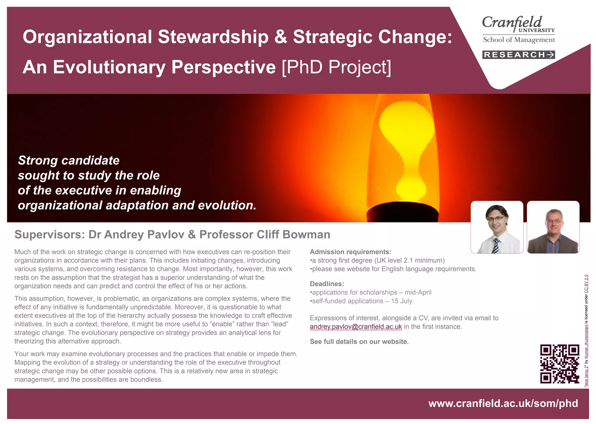 Organizational Stewardship and Strategic Change: An Evolutionary ...