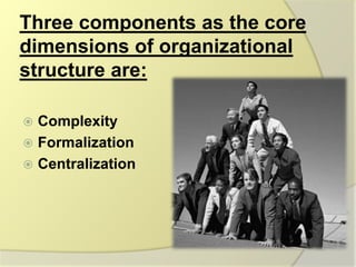 Org structure | PPTX | Business Administration | Business