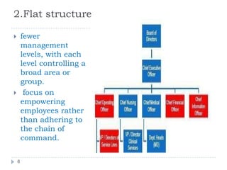 Organisation structure | PPTX