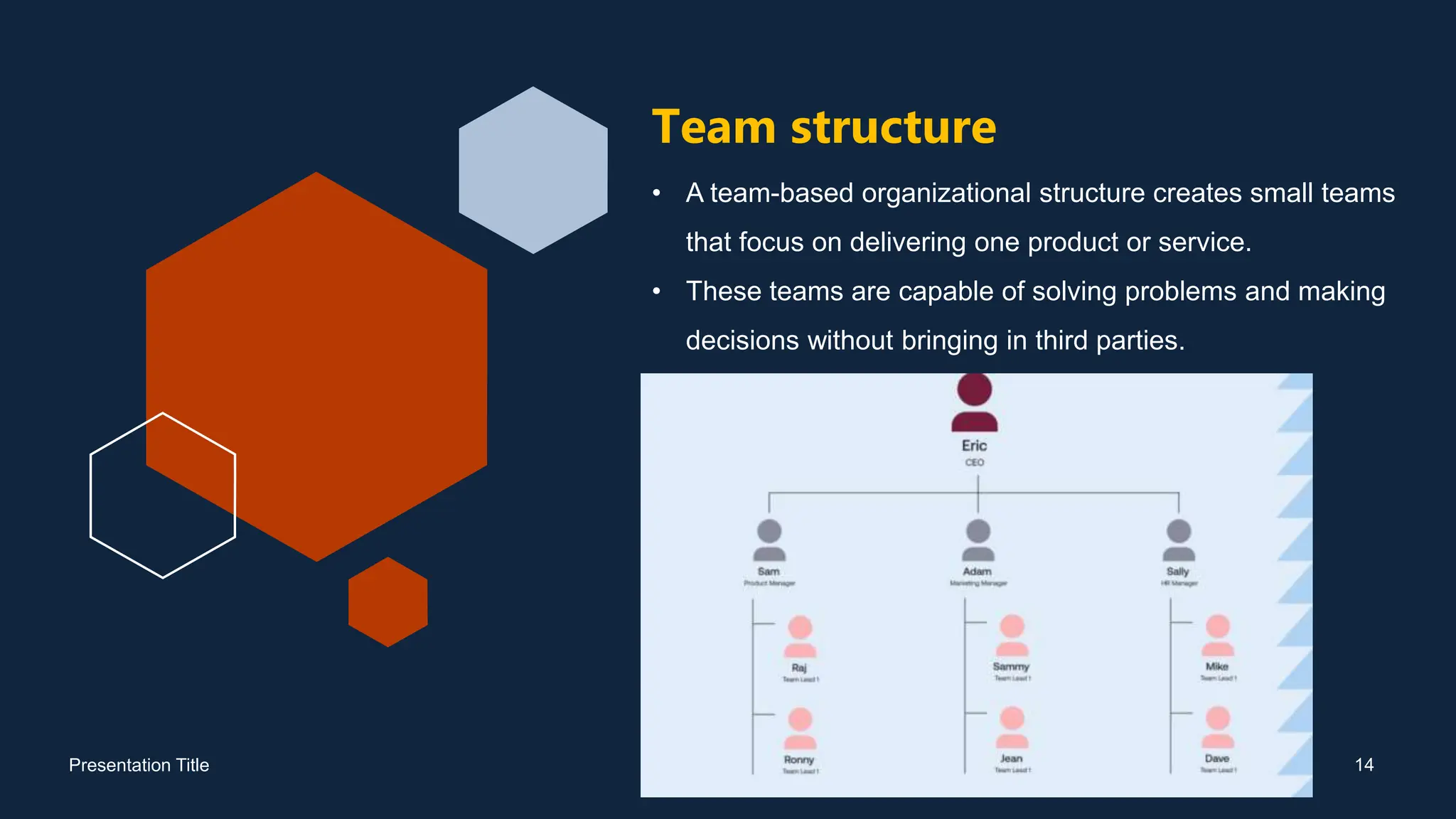 Org Structure Presentation Ppt Team 1 Pptx