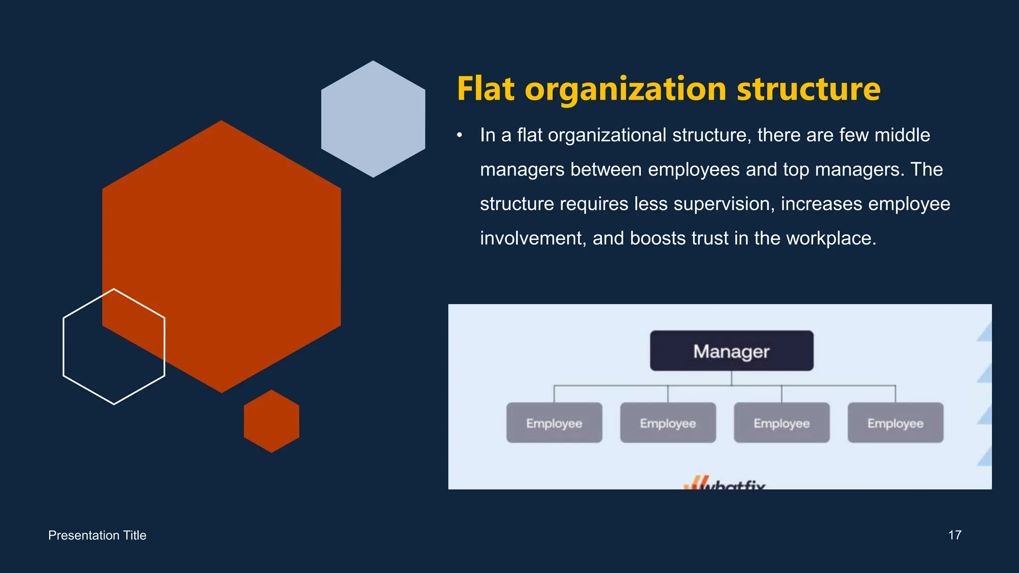 Org Structure Presentation Ppt Team 1 Pptx