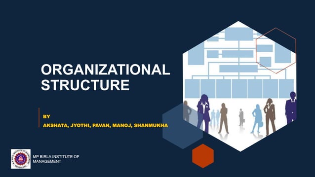 Org Structure Presentation Ppt Team 1 Pptx