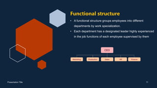ORG STRUCTURE presentation ppt --TEAM 1.pptx