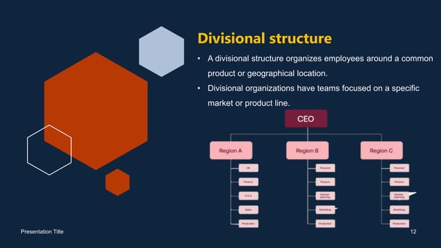 Org Structure Presentation Ppt Team 1 Pptx