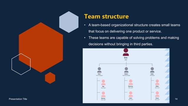 Org Structure Presentation Ppt Team 1 Pptx