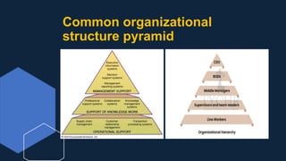 ORG STRUCTURE presentation ppt --TEAM 1.pptx