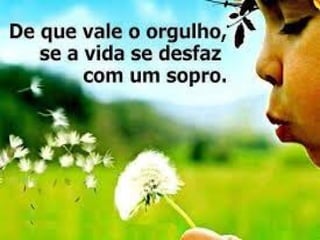Orgulho | PPT