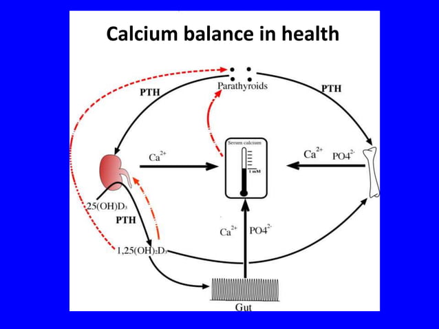 Emergency management of hypercalcaemia | PPT