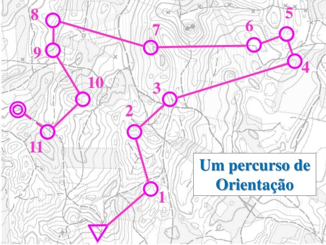 Orientação