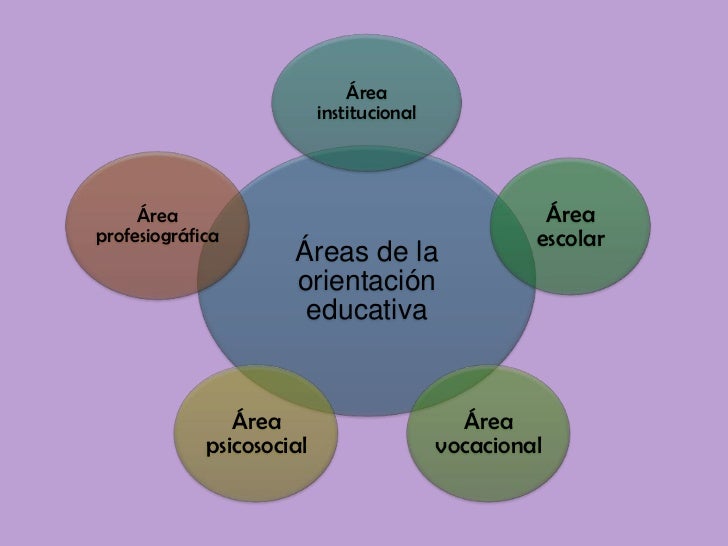 Cuales Son Las Areas De Orientacion Educativa | Estudio447
